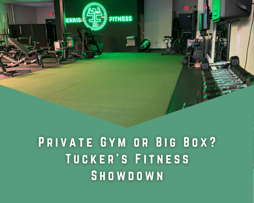 Private Gym or Big Box? Georgia’s Fitness Showdown